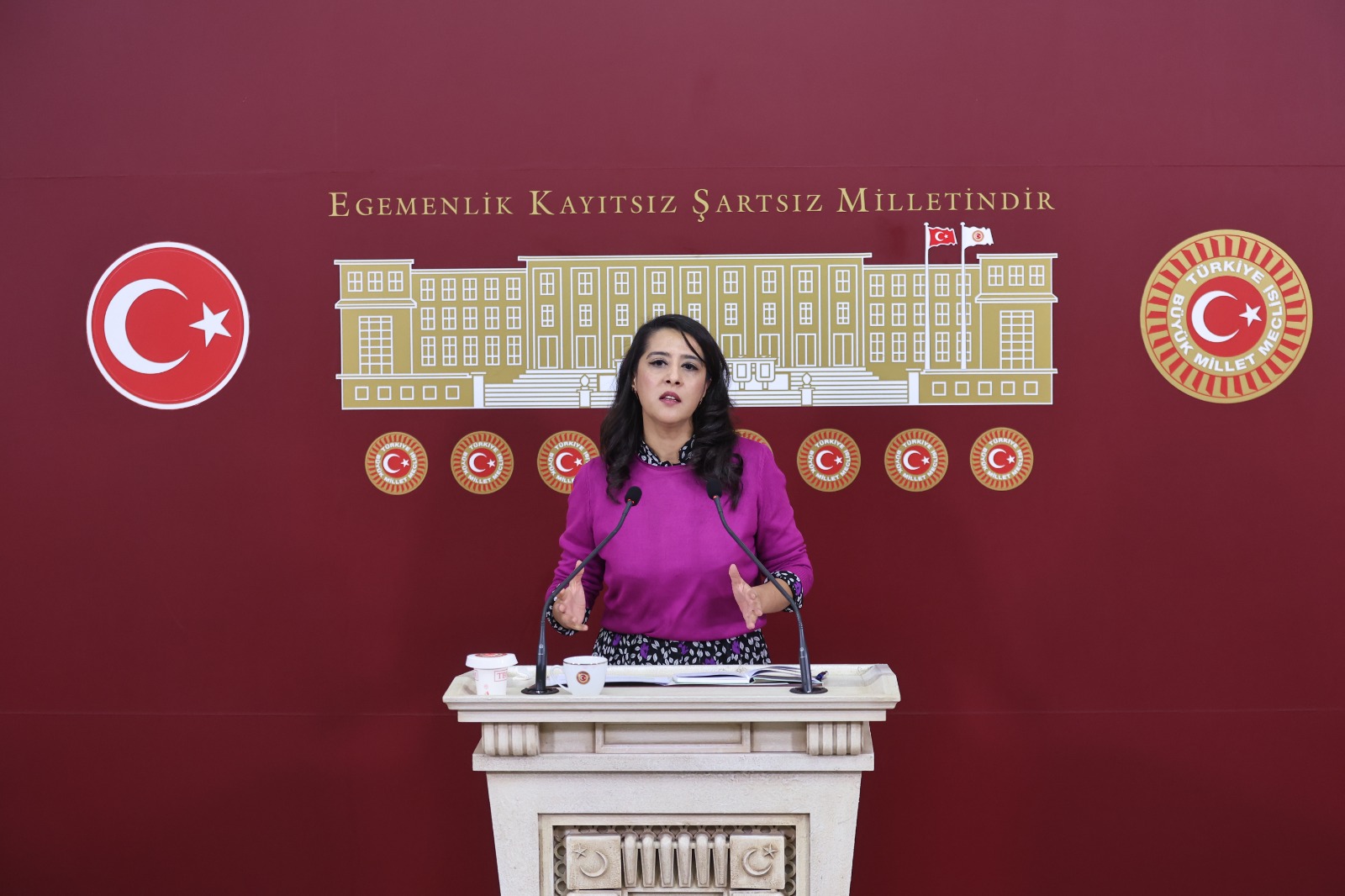 Sevda Karaca: 11. Yargı paketi faşizmin zapturapt belgesidir - Emek ...